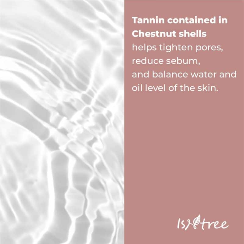 Isntree Chestnut BHA 2% Clear Liquid | Buy Online