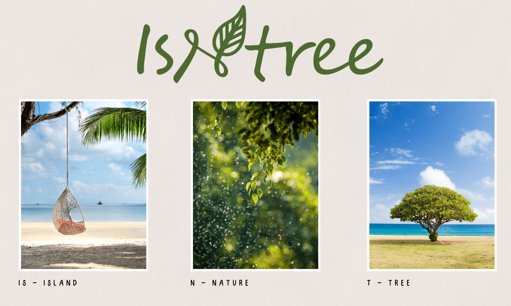 Isntree: Transforming Your Skin Naturally, One Product At A Time ...